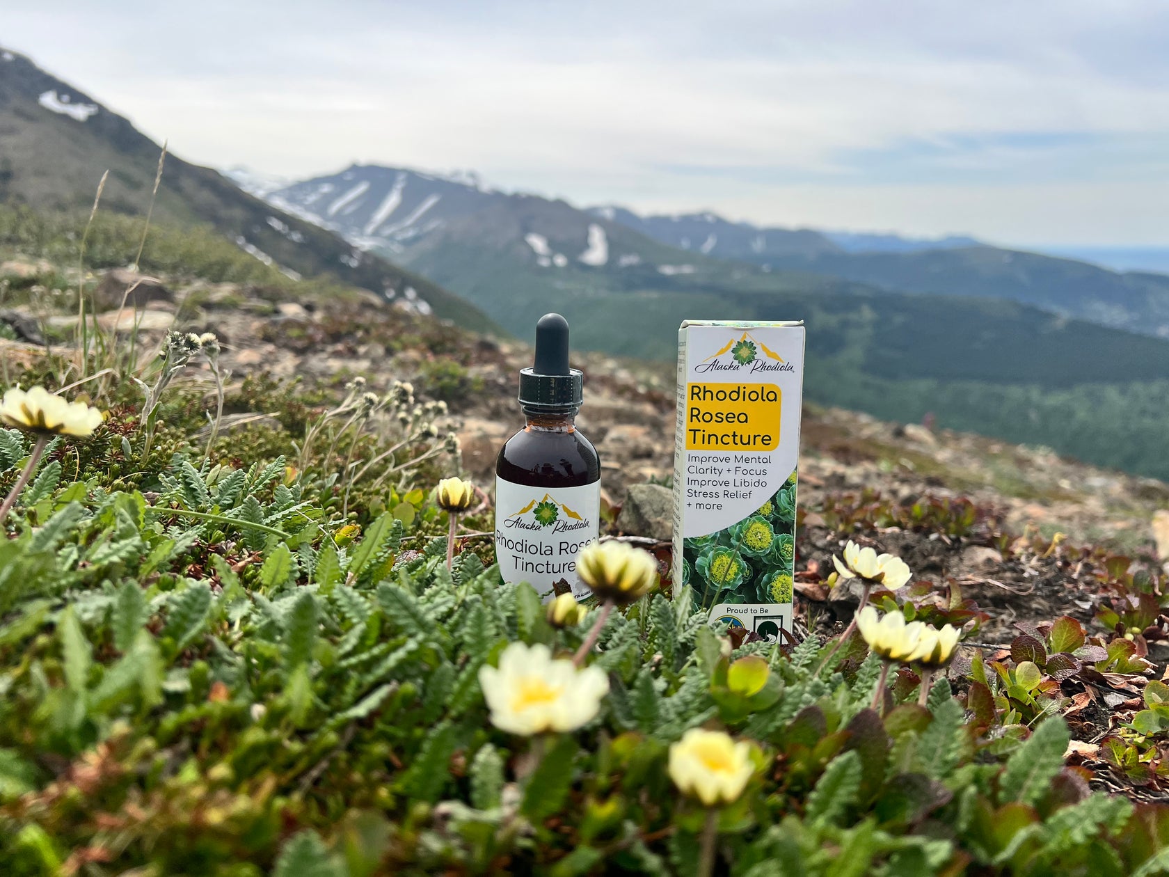 Alaska Rhodiola