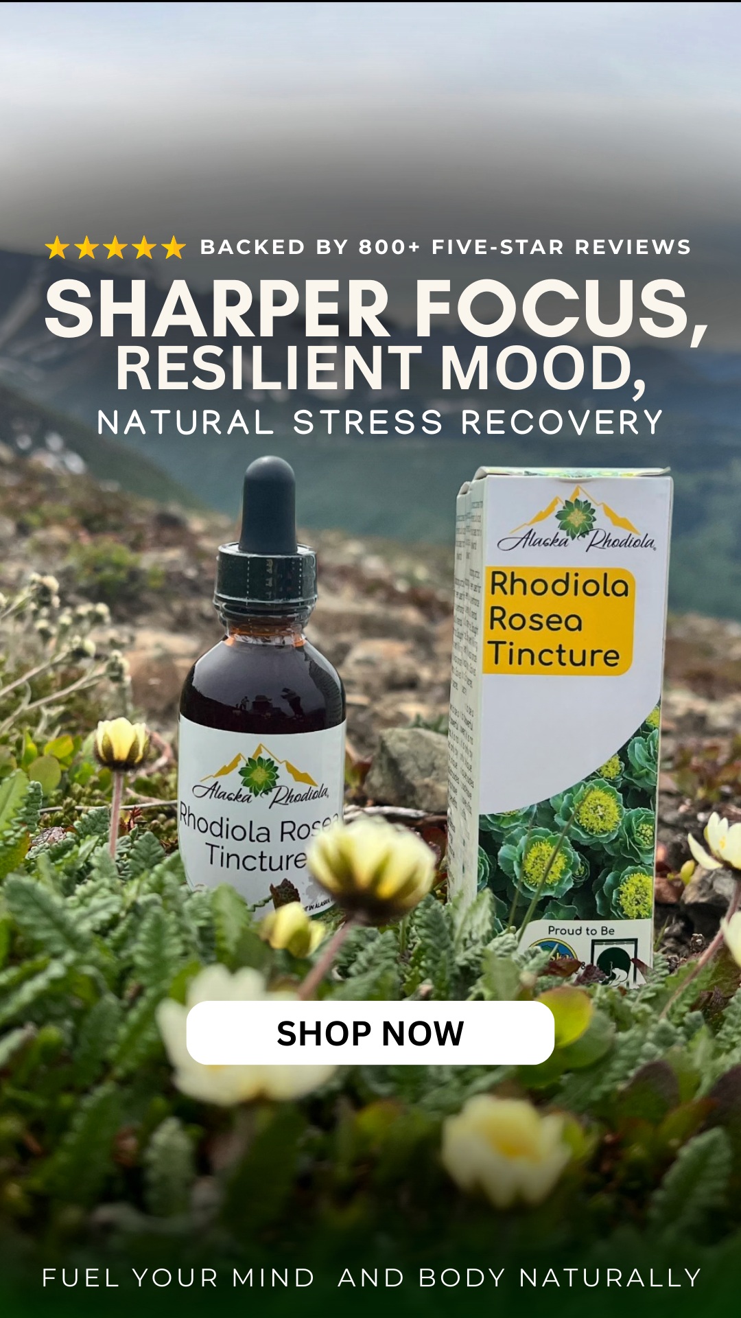 Alaska Rhodiola