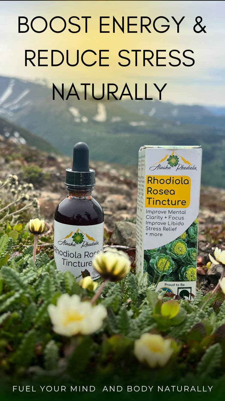 Alaska Rhodiola